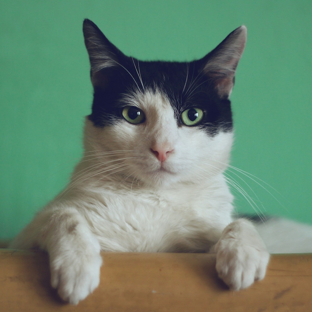 Homepage - Lingfeng Deng 邓凌峰